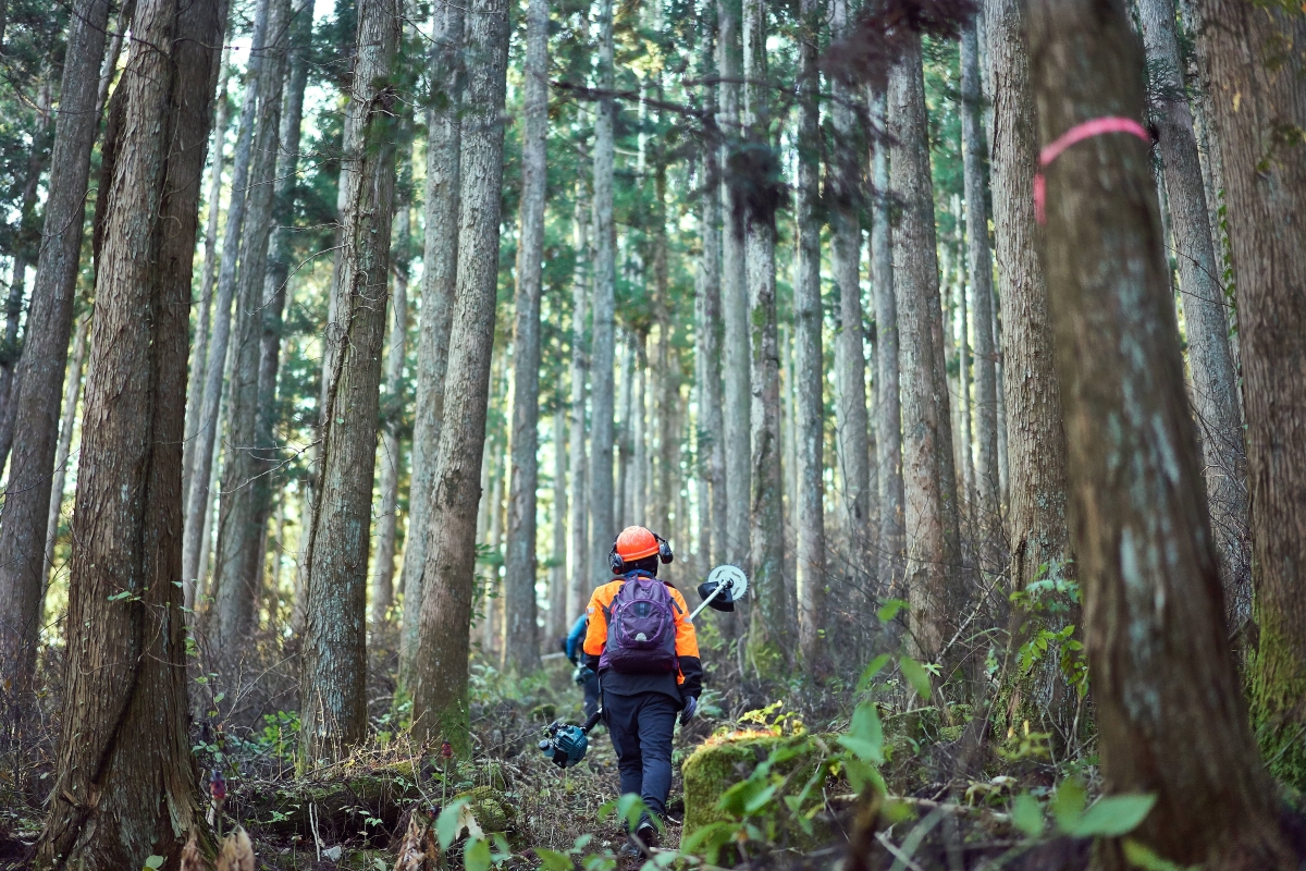 Pacheedaht First Nation: An example of reconciliation and development